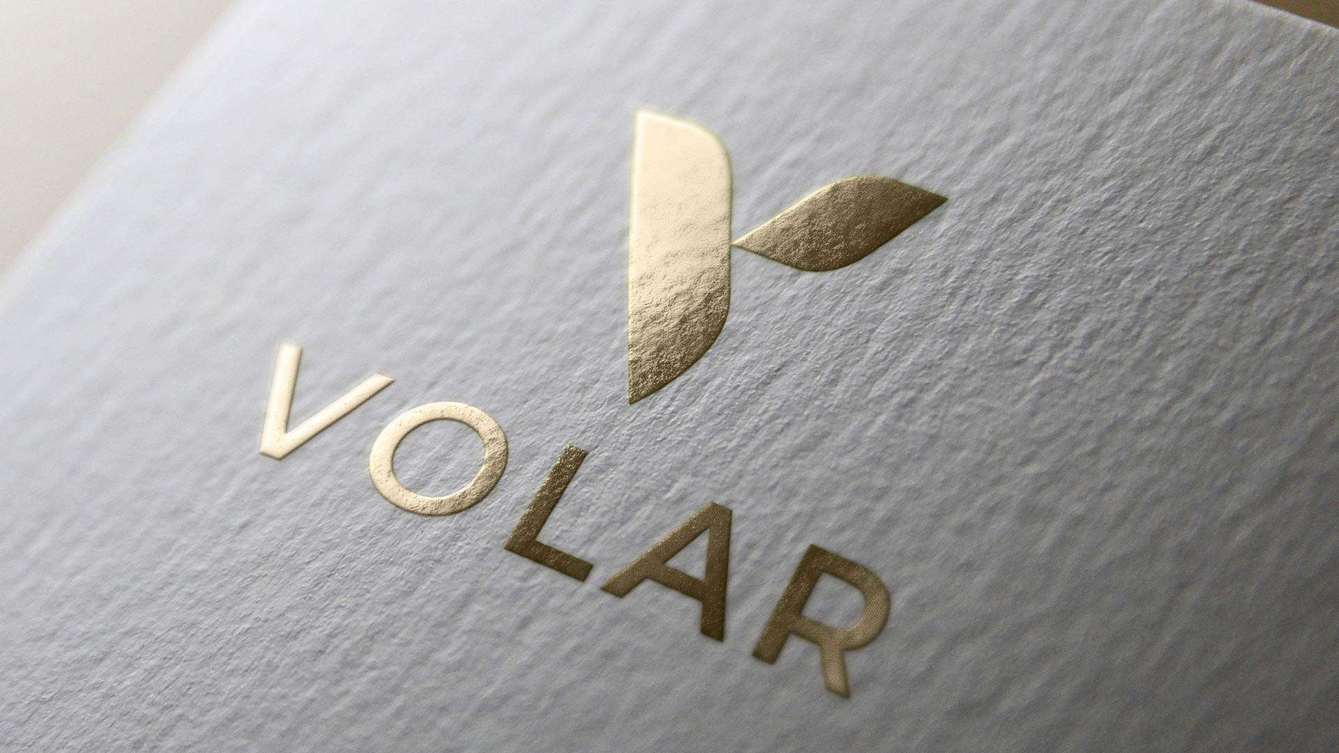 Volar Agency Hub | Modern Web Design Agency
